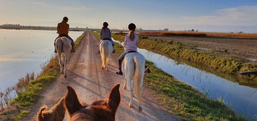 Ebro Delta National Park: Guided Horseback Riding Tour - Discovering the Ebro Delta on Horseback: An In-Depth Look