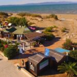 Ebro Delta National Park: Scenic Drive and Kayaking Tour - Scenic Drive and Ecological Exploration: What to Expect