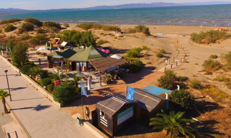 Ebro Delta National Park: Scenic Drive and Kayaking Tour - Scenic Drive and Ecological Exploration: What to Expect