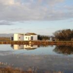 Ebro Delta: Northern Delta Guided Tour with a Local - Itinerary Breakdown: What to Expect