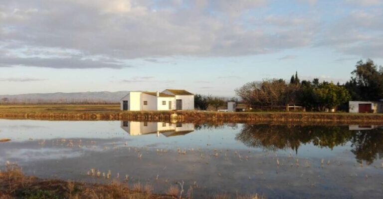 Ebro Delta: Northern Delta Guided Tour with a Local - Itinerary Breakdown: What to Expect