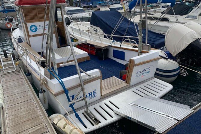 Eco Adapted Diving in Tenerife - Who Is This Tour Best For?