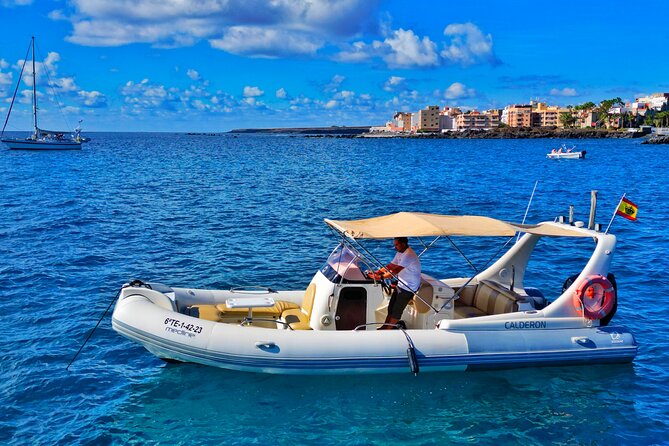 Eco Tour in the South of Tenerife with Snorkeling and Bathing Included - Exploring Tenerife from the Sea: An In-Depth Look at the Eco Tour with Snorkeling and Bathing