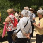 Ecoherbes - Guided Visit to the botanical garden - The Guided Tour: Depth & Engagement