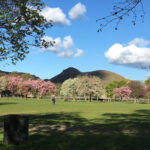 Edinburgh: a Scottish experience for Children in German - What to Expect at Each Stop