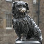 Edinburgh: Discover Edinburgh's Old Town Walking Tour - Why This Tour Is Worth It