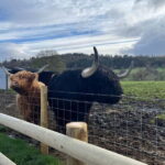 Edinburgh: The Kelpies, Loch Lomond & Trossachs Day Trip - The Practicalities: What to Expect