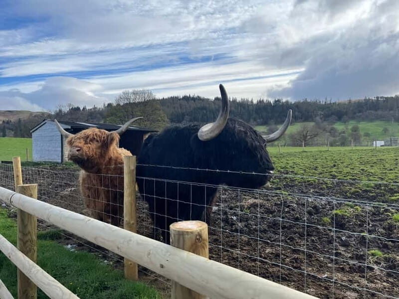 Edinburgh: The Kelpies, Loch Lomond & Trossachs Day Trip - The Practicalities: What to Expect