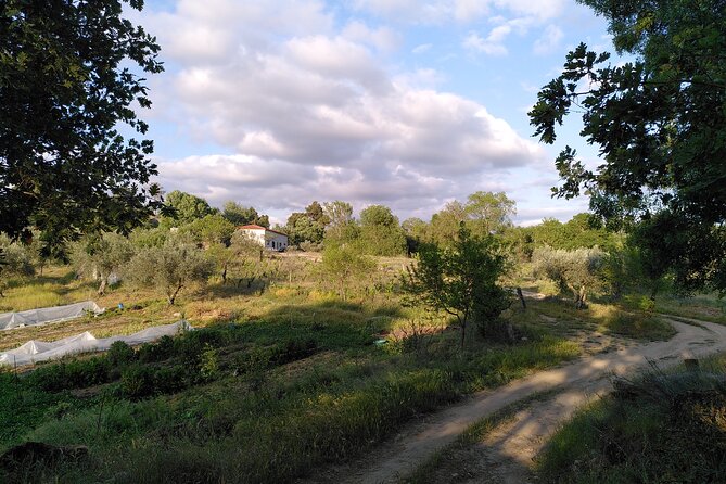 Educational visit of a Certified Organic Micro Farm in Trancoso - Key Points