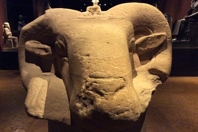 Egyptian Museum of Turin with Museum Guide for groups - The Guided Tour Experience: Quality and Insights