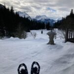 Ehrwald: Zugspitze Snowshoe Hiking Tour with Mountain Views - The Experience of the Trail