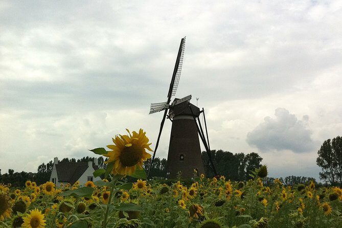 Eindhoven: E-Fatbike Tour In The Footsteps of Vincent van Gogh - FAQ