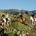 El Salobre: Horse Riding Adventure with Transfer Options - An In-Depth Look at the Horse Riding Experience in Gran Canaria