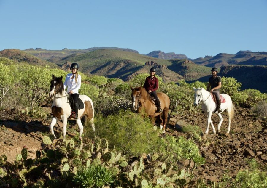 El Salobre: Horse Riding Adventure with Transfer Options - An In-Depth Look at the Horse Riding Experience in Gran Canaria