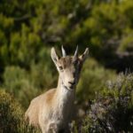 El Saltillo Gorge and White Village Hiking Tour from Malaga - What Makes This Tour Special?