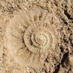 El Torcal de Antequera Hike with Transfer - The Itinerary Breakdown