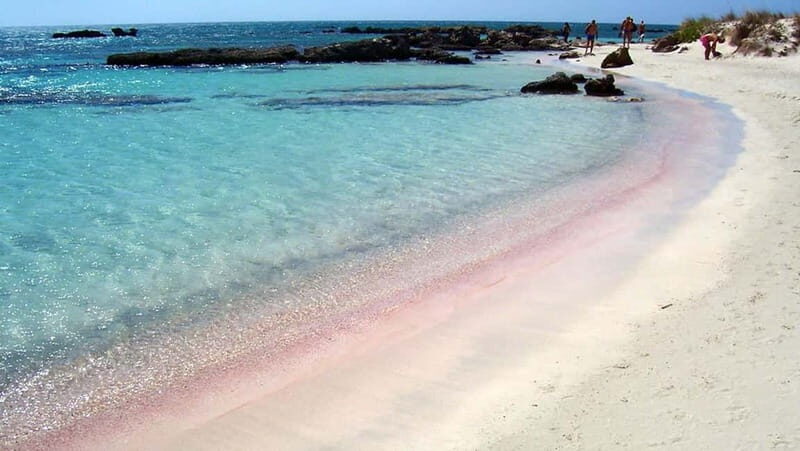 Elafonisi Bay - PINK COLOR SAND BEACH - The Value of This Tour