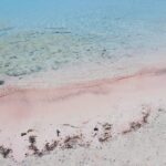 Elafonisi Road Trip - Be first at Beach! - Authentic Experience and Practical Considerations