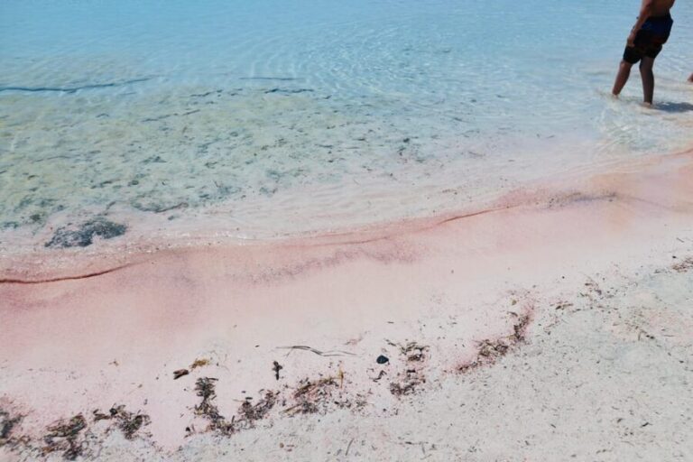 Elafonisi Road Trip - Be first at Beach! - Authentic Experience and Practical Considerations