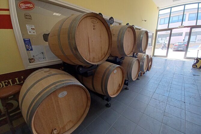 Elba Bike Tour with Beer Tasting from Portoferraio - A Well-Balanced Exploration for Active and Curious Travelers