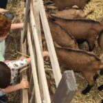 Elba Island Farmhouse tasting experience - The Small Group Atmosphere