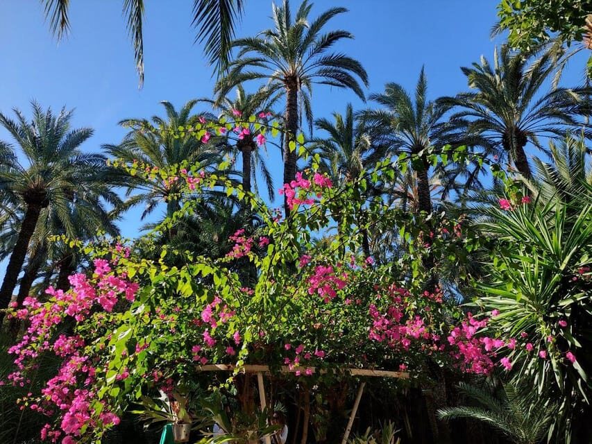 Elche: walking tour through the historic center and botanical garden Huerto de Cura - Value and Practicalities