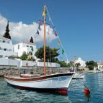 Electric Boat Daily Cruises - Practical details and considerations