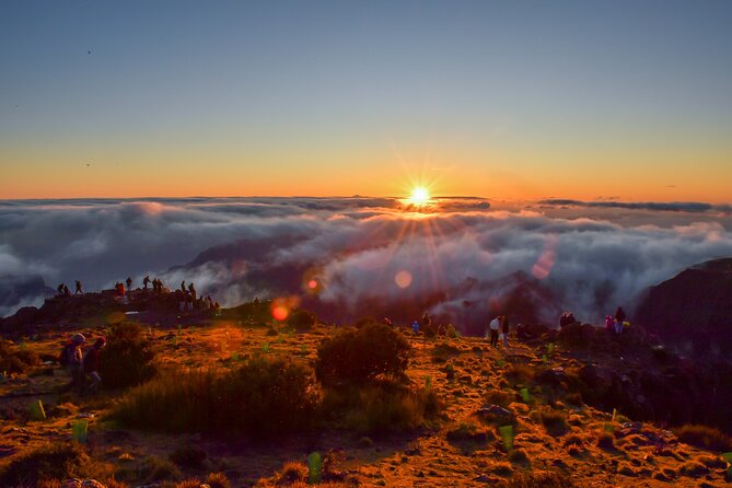 Set out on a Luxurious Private Journey: Unveiling the Madeira Best - Exploring Madeira in Style: A Closer Look at the Experience