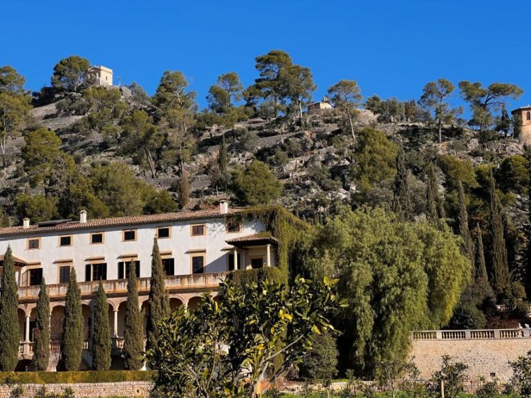 Embrace the enchantment of Mallorca's almond blossom season - The Scenic Drive along the Tramuntana Mountains