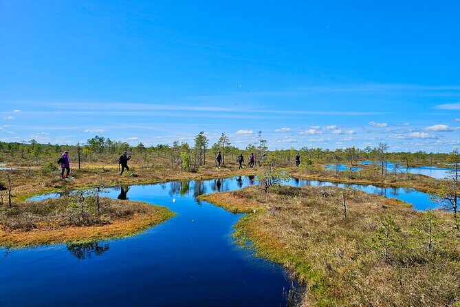emeri Bogs Adventure: Explore Wetlands In Bog Shoes - A Deep Dive into the Kemeri Bogs Adventure