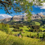 Emmentaler Journey from Zurich:Tour & Cheese Making Workshop - The Practicalities and Value