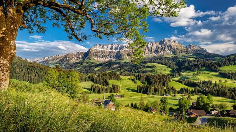 Emmentaler Journey from Zurich:Tour & Cheese Making Workshop - The Practicalities and Value