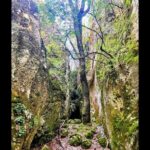 Enchanted Forest Hike and Wine Tasting Private Tour - What Makes This Tour Stand Out