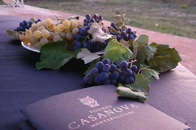 Enjoy a Wine Tasting after a cycling excursion in the magic of Tuscany - An Authentic Tuscan Adventure in a Few Hours