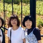 Enjoy The Algarvian Wine Taste & Coast Line Private Van Tour - The Wine Experience: Quinta dos Vales