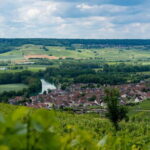 Epernay: Shuttle to a botanical outing - The Value of the Experience