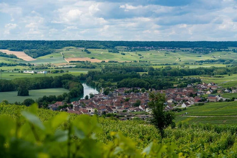 Epernay: Shuttle to a botanical outing - The Value of the Experience
