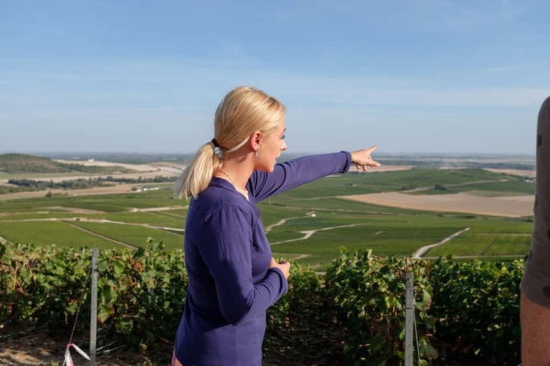 Epernay: Shuttle to a vineyard tour - An In-Depth Look at the Experience