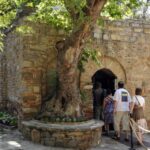 Ephesus: 3-Hours Private Tour - A Closer Look at the Itinerary