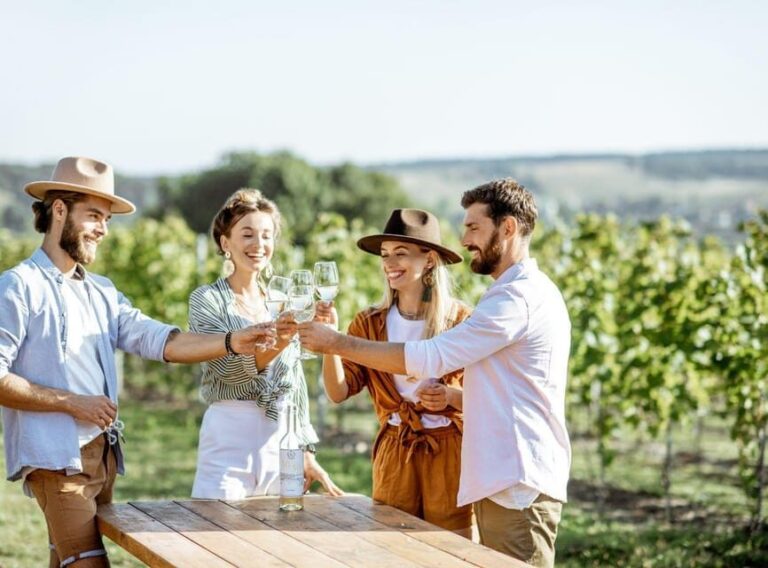 Ercolano vineyards, view cellar wine tasting and brunch - The Wine Tasting: A Regional Showcase