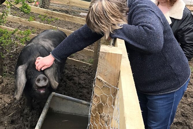 Errichel Farm Tour - Key Points