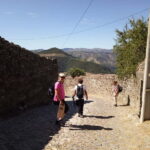 Ervedosa do Douro: Guided Walking Tour with Picnic Lunch - Cultural and Gastronomic Highlights