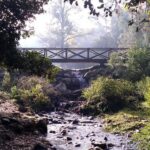 Escape into Sardinia - A Nature Outing Tailored for Curious Explorers