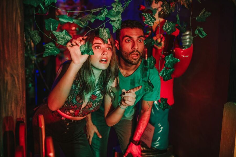 Escape room the found of the Baskervilles at Holidayworld - Who Will Love This Experience?