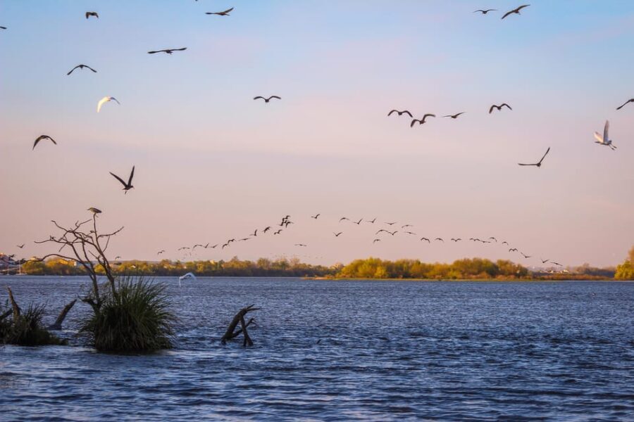 Escaroupim: 1 hour boat trip, guided tour - What to Expect During the Tour