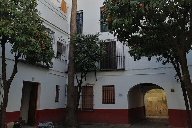 Essential Seville Tour - What to Expect: The Good and the Not-So-Good