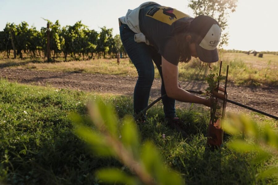 Estate tour and tasting - The Itinerary: A Well-Rounded Tour
