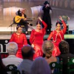 Estepona: Andalusian Flamenco Show Entry Ticket with Drink - Exploring the Flamenco Show in Estepona