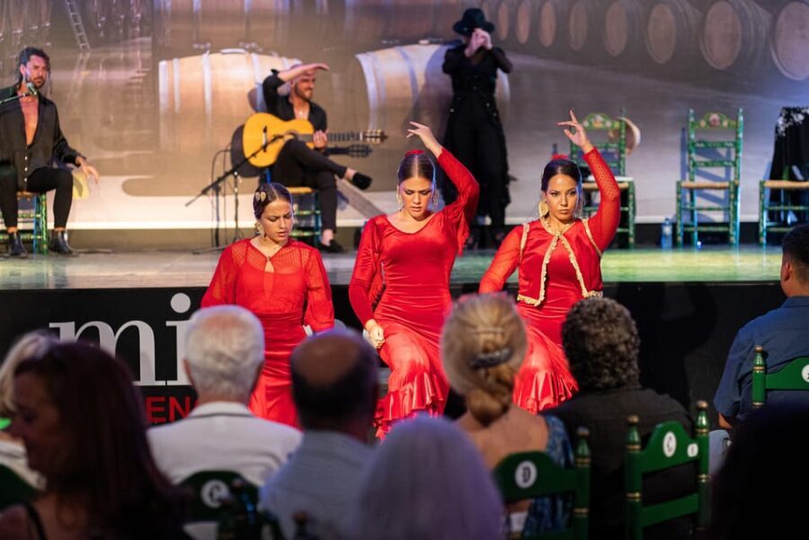 Estepona: Andalusian Flamenco Show Entry Ticket with Drink - Exploring the Flamenco Show in Estepona