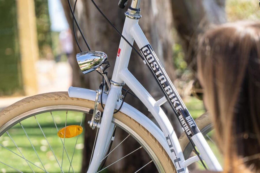 Estepona best kept secrets: City bike guided tour - The Itinerary: What to Expect